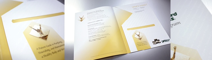 8 Ideas for Your Next Pocket Folder Design