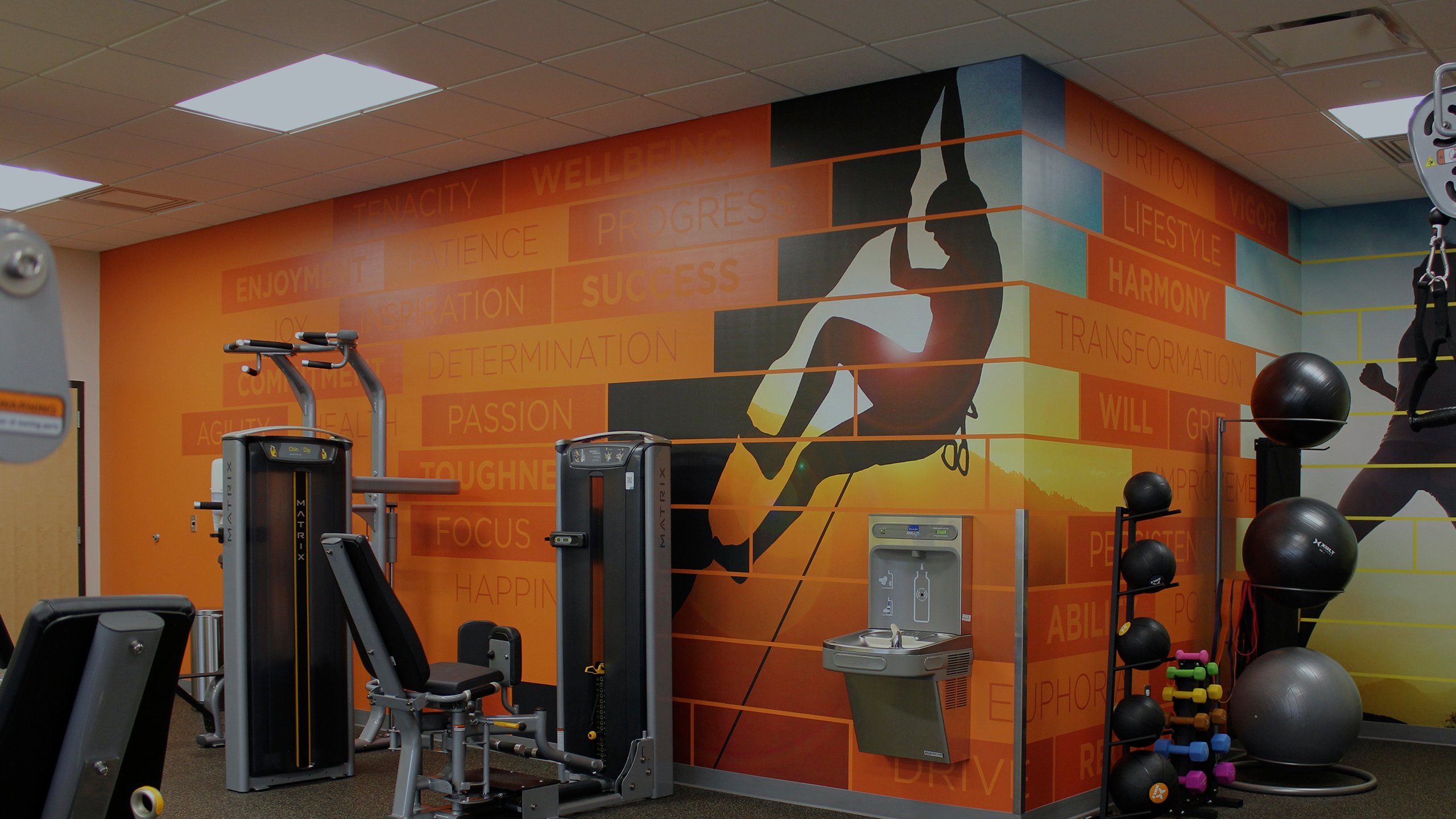 Project Profile Videos - Suttle-Straus